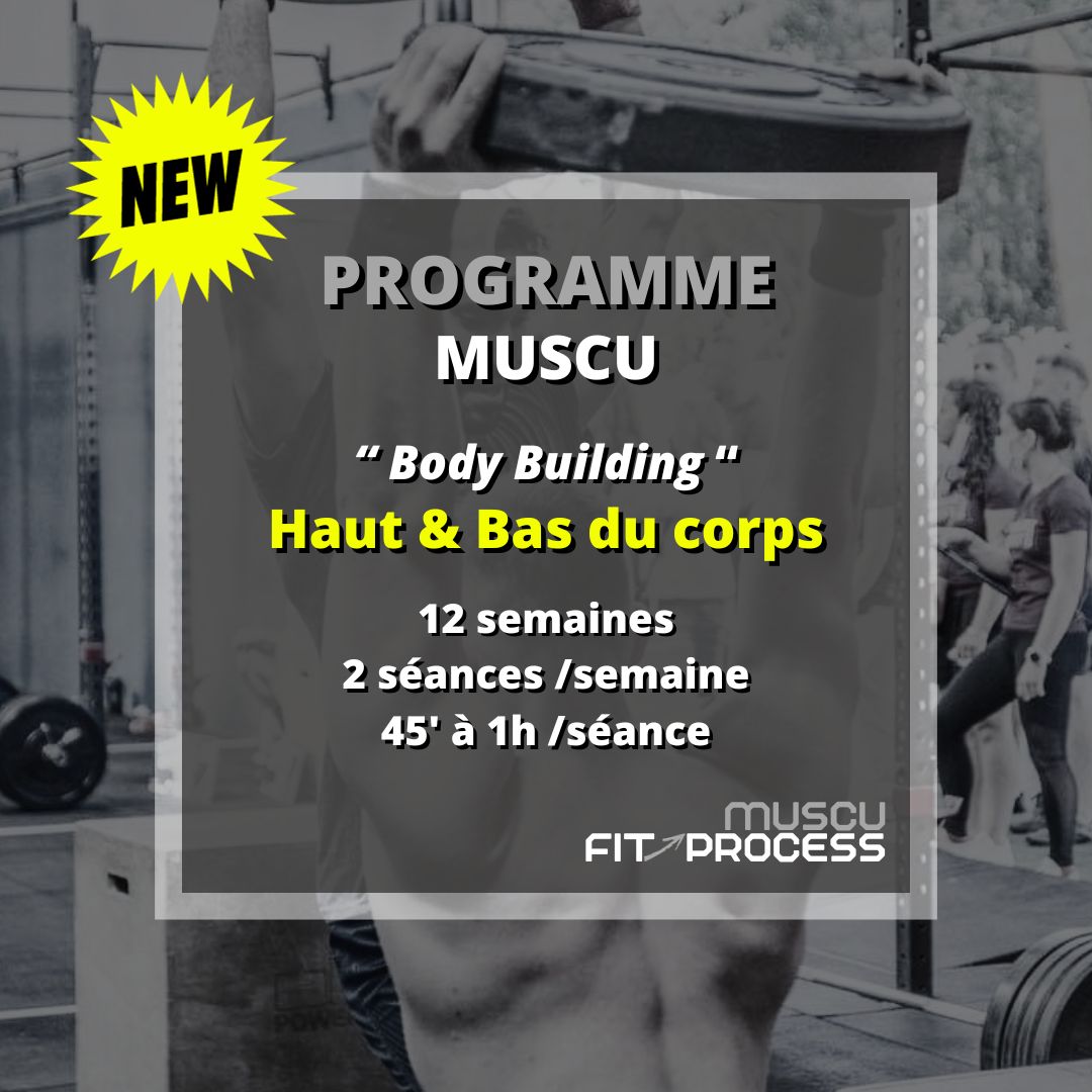 Programmation MUSCU | FitProcess